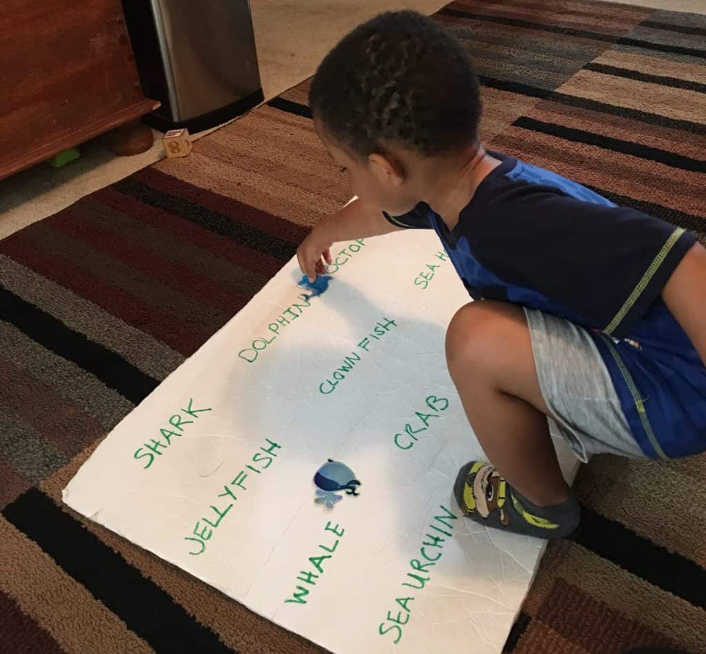 9 Brilliant Sorting Activities For Preschool and Beyond